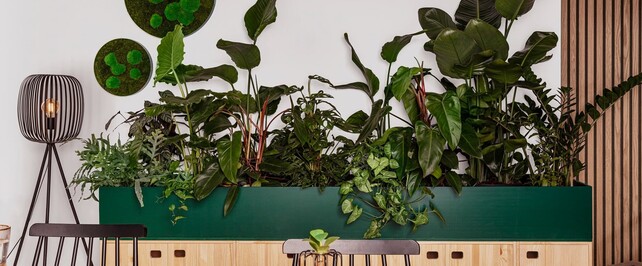 DIY: Insel-Indoor-Hochbeet | richtiggut.de