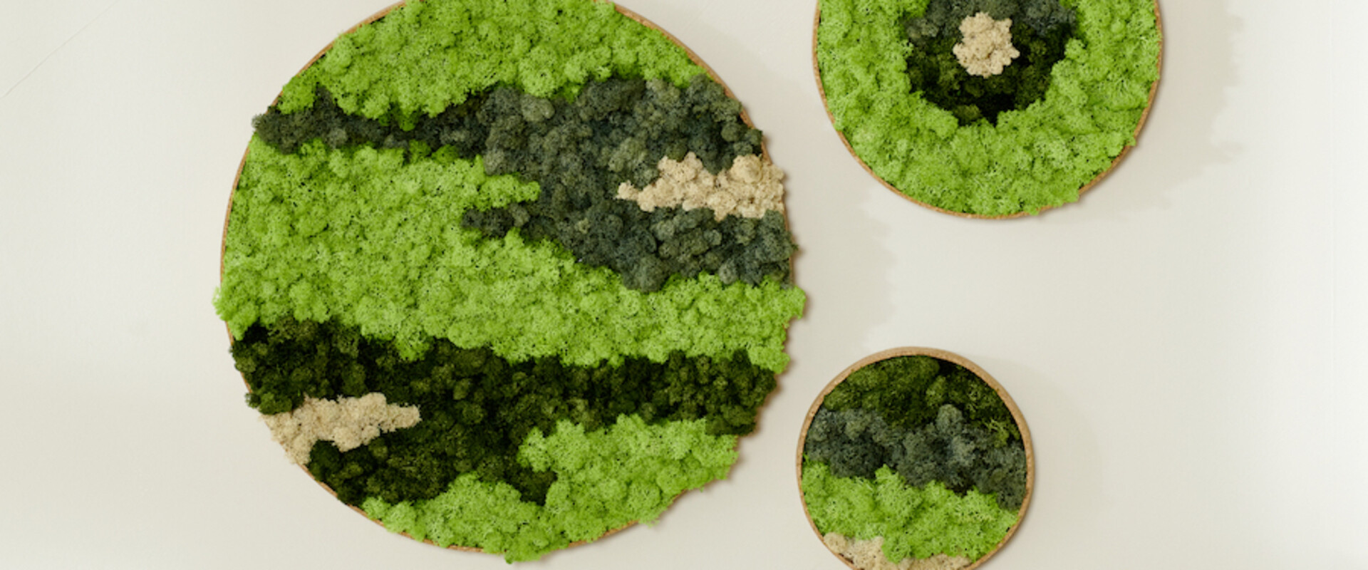 DIY: Moosbild selber machen | richtiggut.de