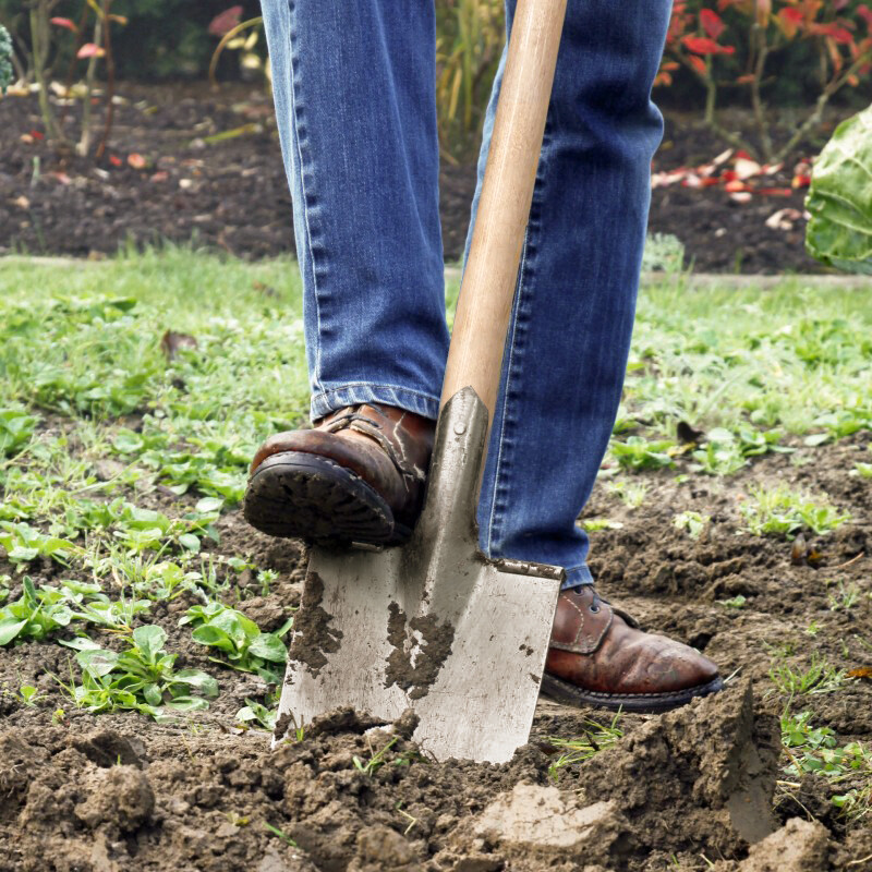 Spaten für den Garten | richtiggut.de