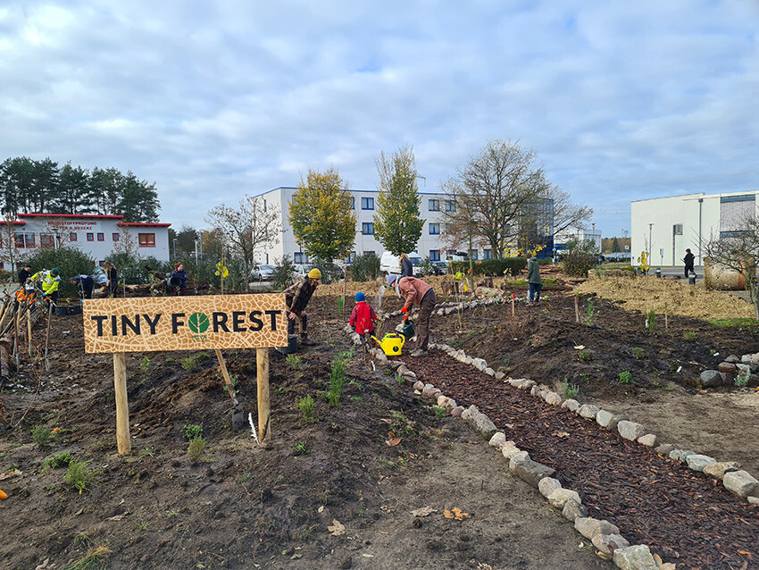 Tiny Forests: Der Verein MIYA pflanzt Mini-Wälder | richtiggut.de